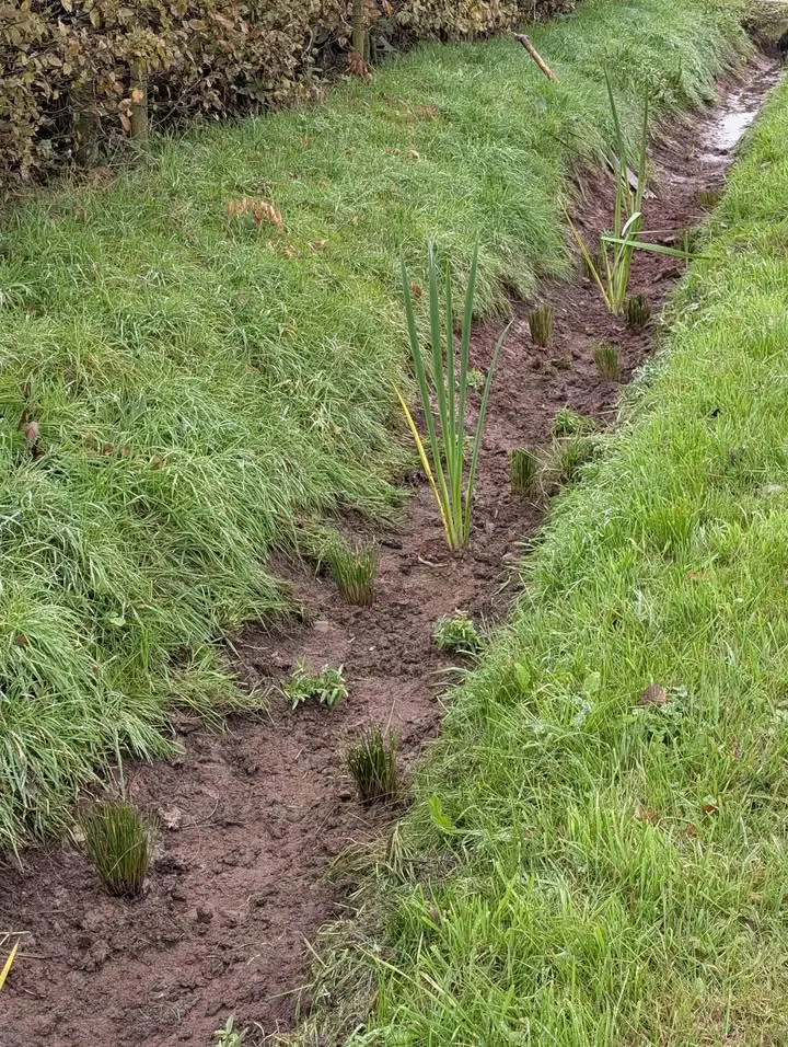 Quand élus, citoyens et nature s’unissent pour reverdir les fossés ...